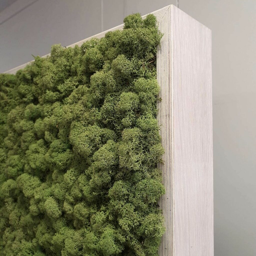 Mosebilder | Skreddersydde kunstverk | WALL-IT